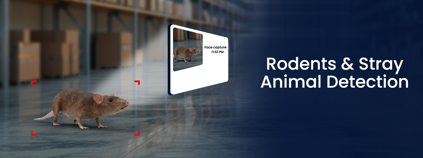 Rat & Stray Detection - Hi-Focus AI Box | HiFocus